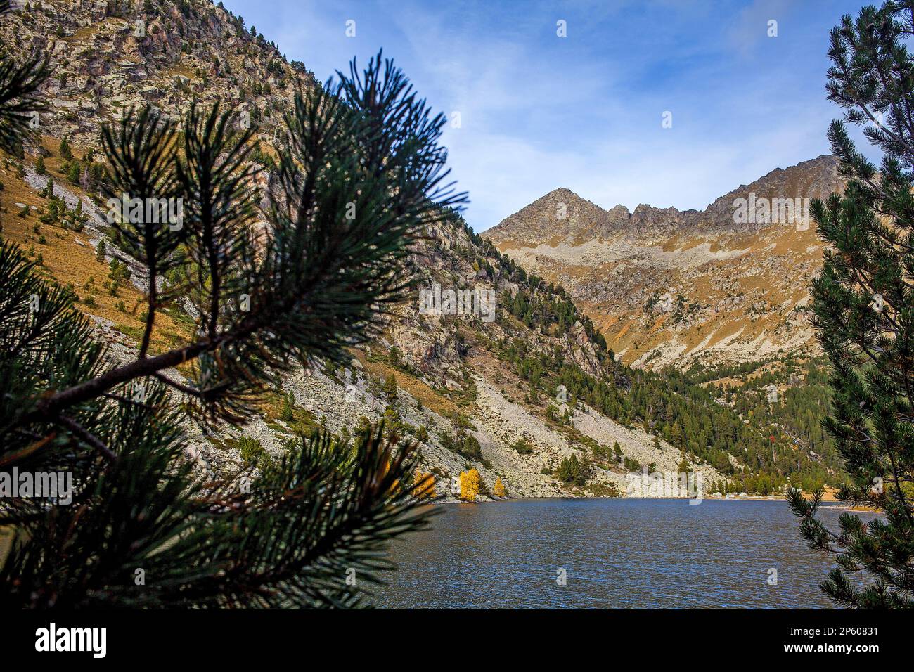 Co nacional hi-res stock photography and images - Alamy