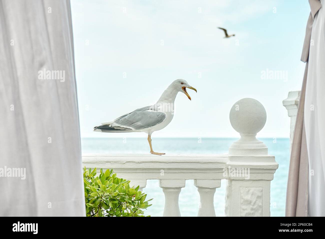 Beach railing fence hi-res stock photography and images - Alamy