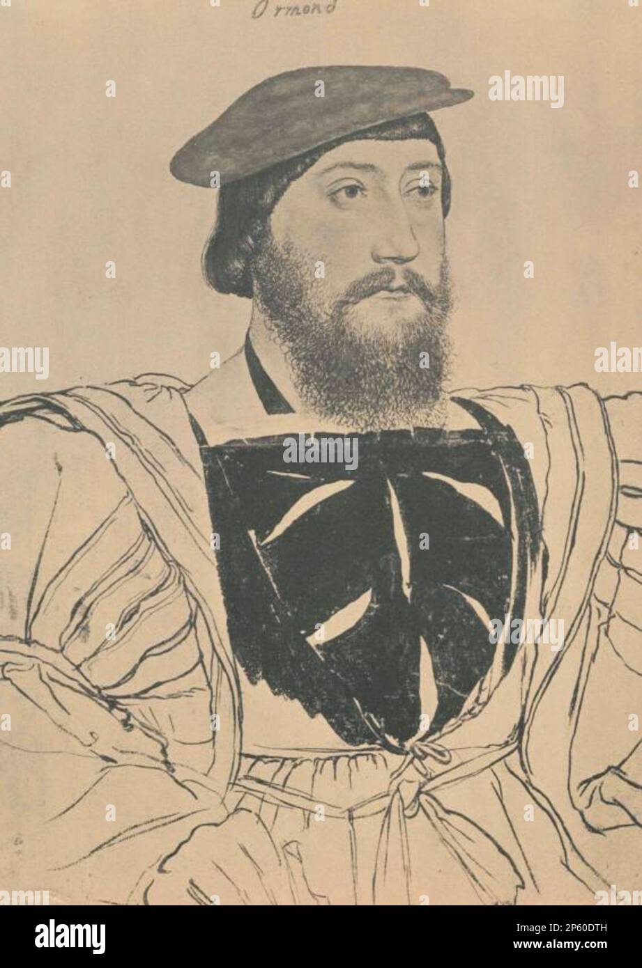 Thomas Boleyn, Earl of Wiltshire Stock Photo - Alamy