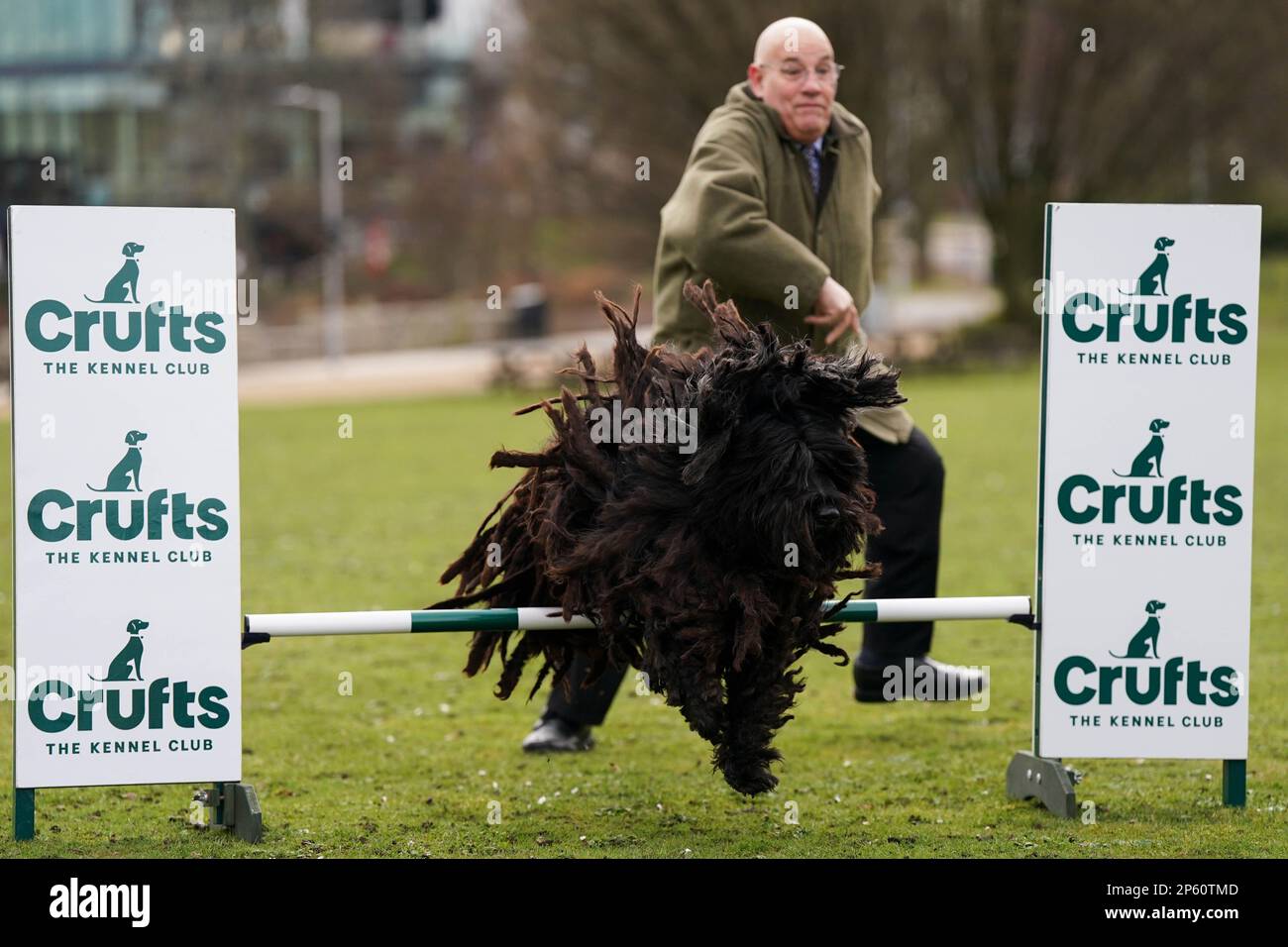 A bergamasco shepherd hi-res stock photography and images - Alamy