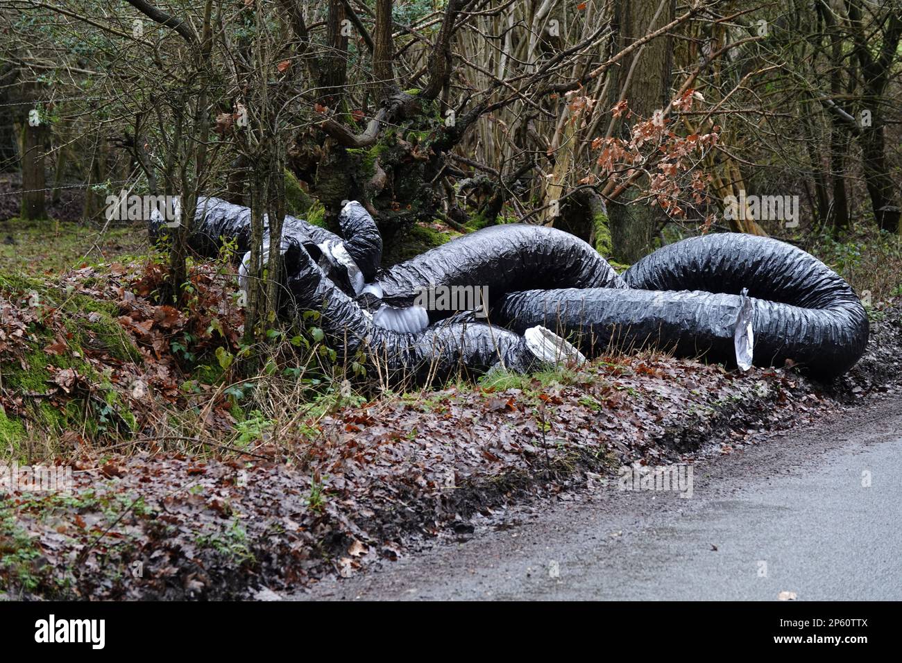 Fly-tipping linked to cannabis growing operation Stock Photo - Alamy