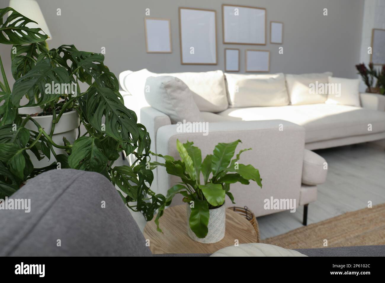 Beautiful living room interior with comfortable sofa Stock Photo - Alamy