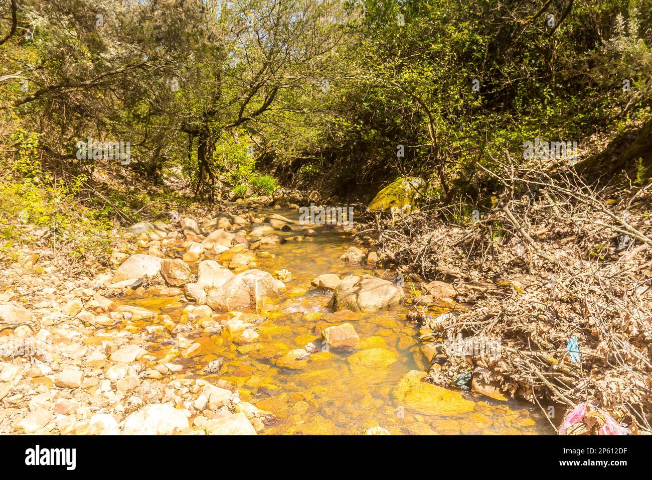 Mountain river in the forest. Mountain river in the forest, Tunisian ...