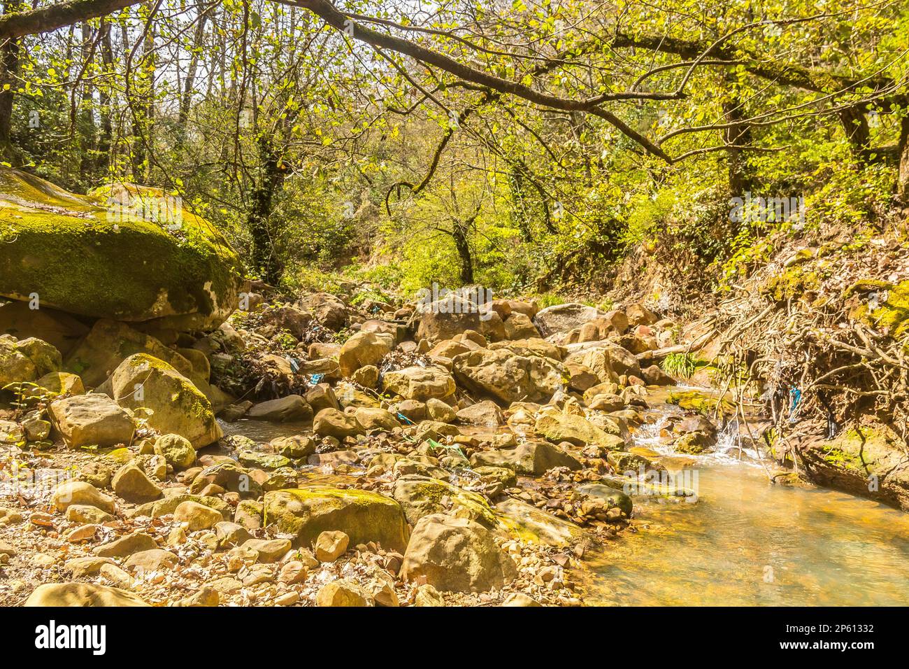 Mountain river in the forest. Mountain river in the forest, Tunisian ...