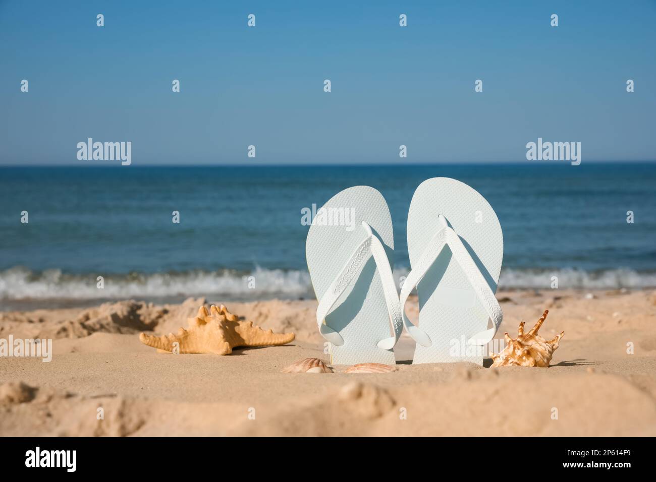 Beach flip flops sea shells hi-res stock photography and images - Alamy