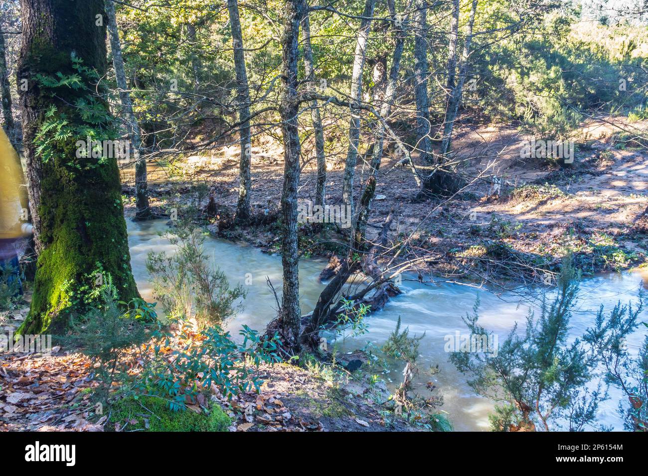 Water flowing, Waterfall, Natural background., Tunisian Landscape, Ain ...