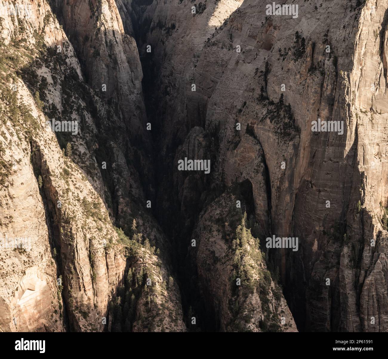 Crack in the Zion Canyon Across from Deer Trap Mountain on the East Rim ...
