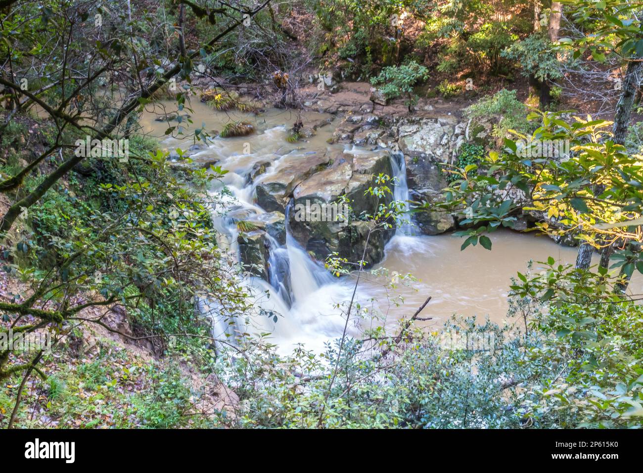 Mountain river in the forest. Mountain river in the forest, Tunisian ...