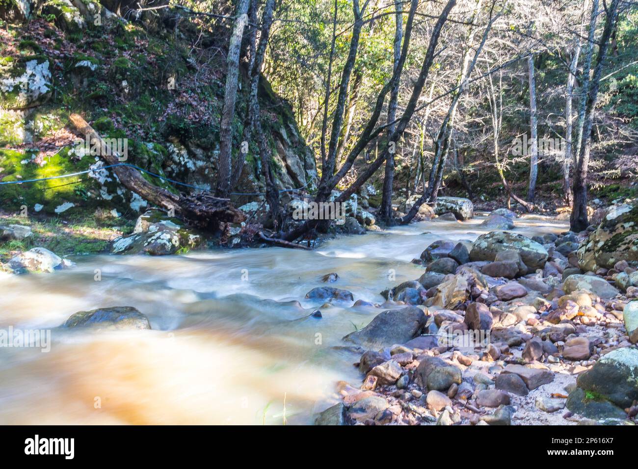 Mountain river in the forest. Mountain river in the forest, Tunisian ...
