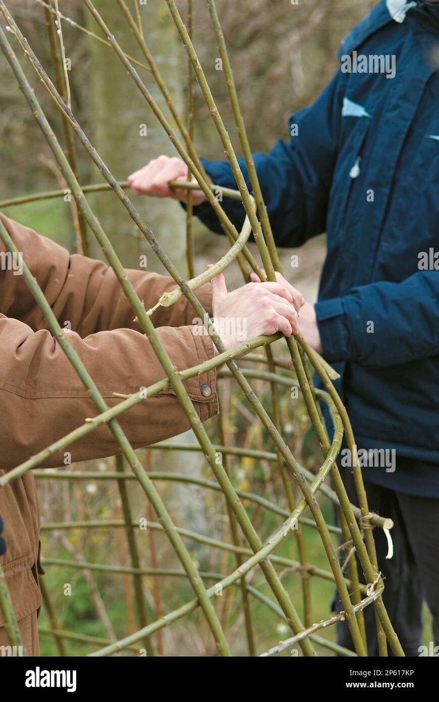 constructing a garden willow arbour detail of weaving willow stems ...