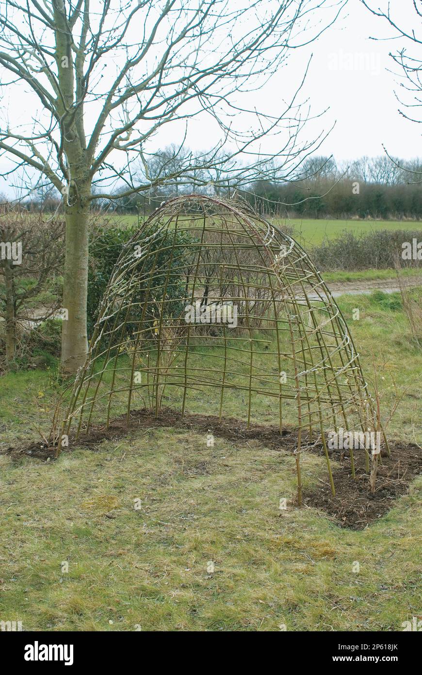 Your finished arbour structure should look like this. Willow arbour ...