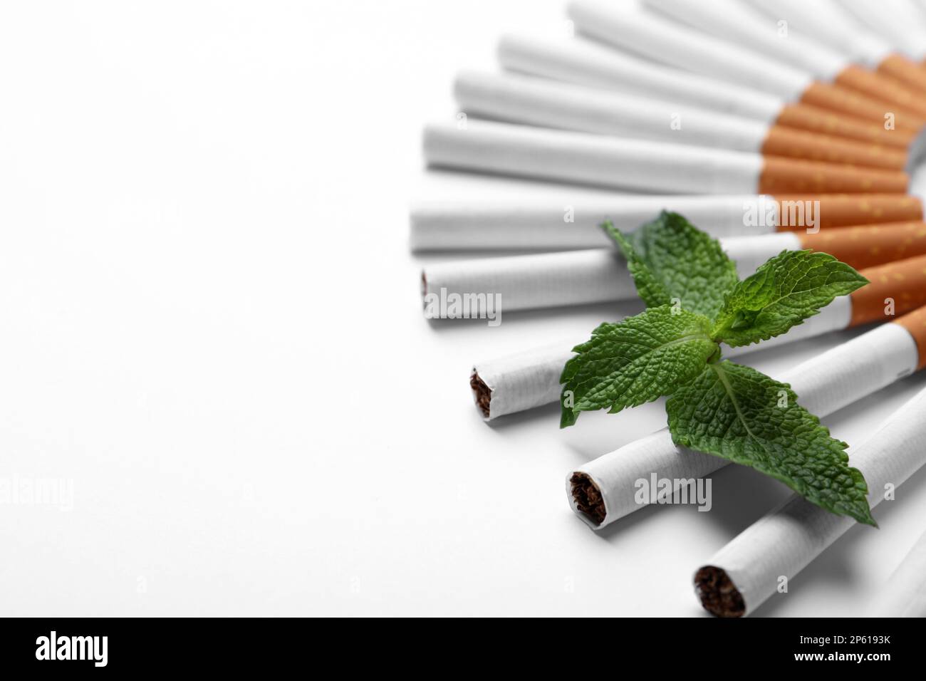 Menthol cigarettes and fresh mint leaves on white background. Space for ...