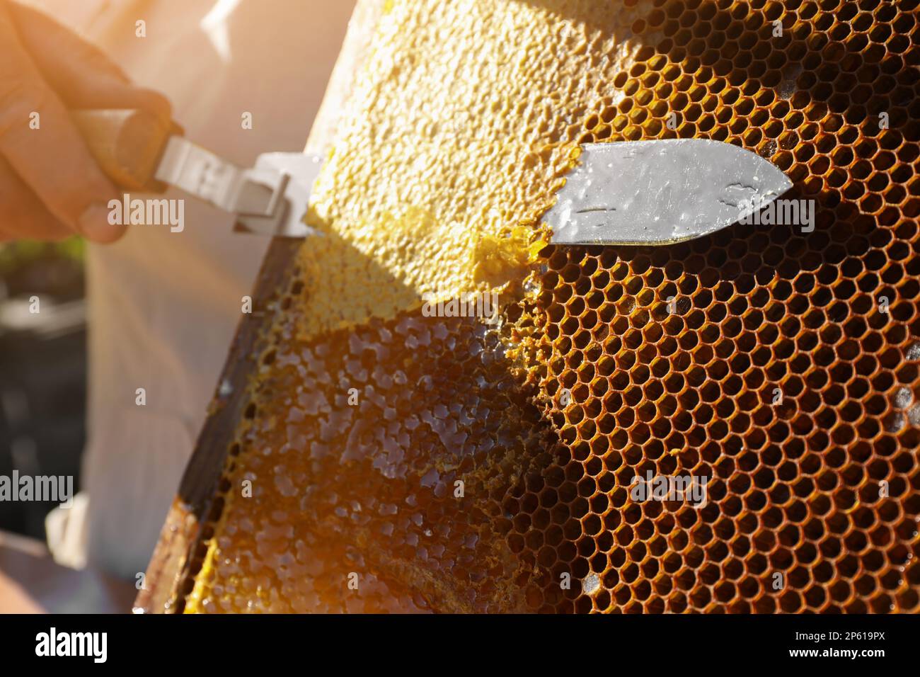 Uncapping knife hi-res stock photography and images - Alamy