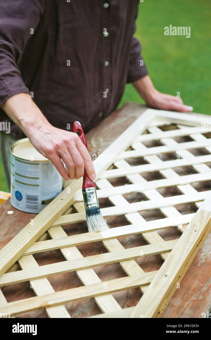painting wooden trellis Stock Photo - Alamy