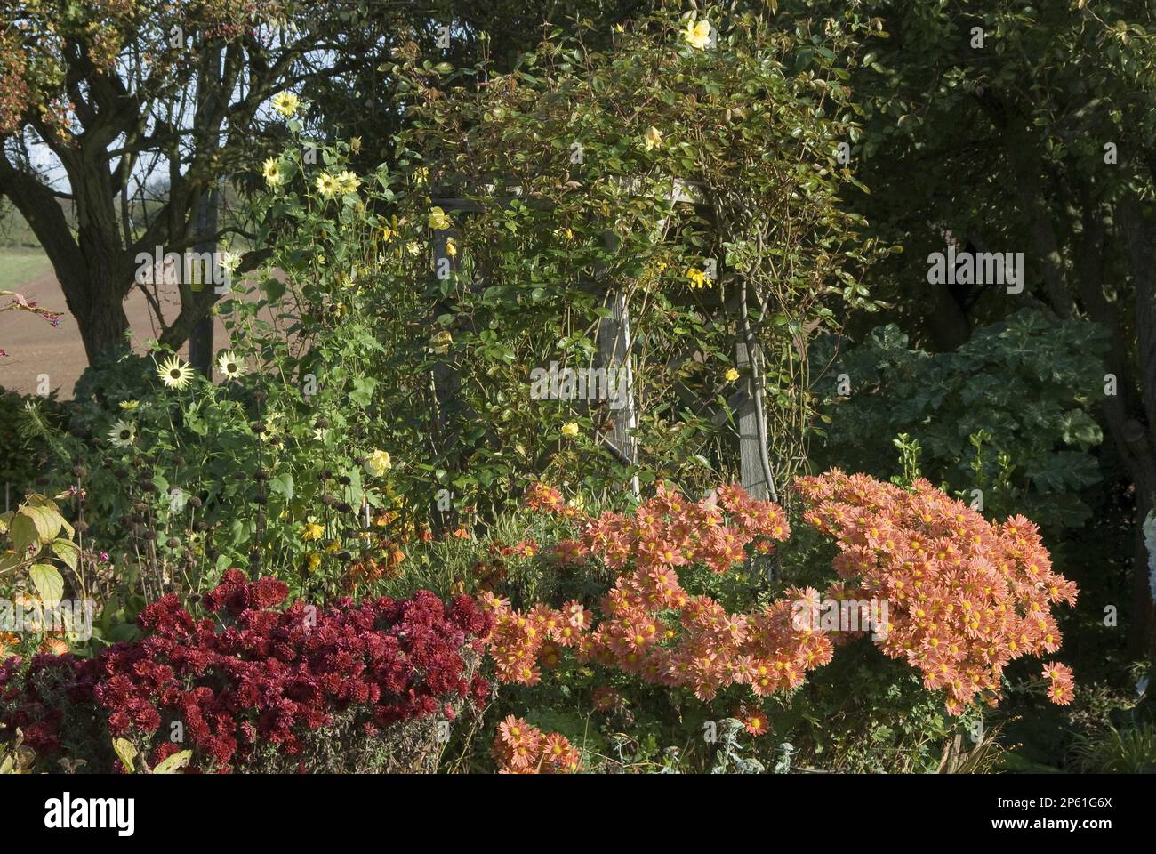 Country garden border hi-res stock photography and images - Alamy