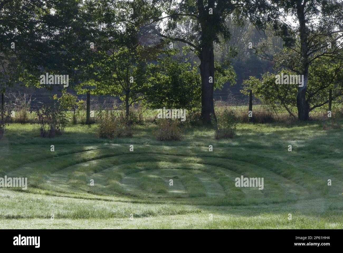 Meditationdappled sunlight hi-res stock photography and images - Alamy