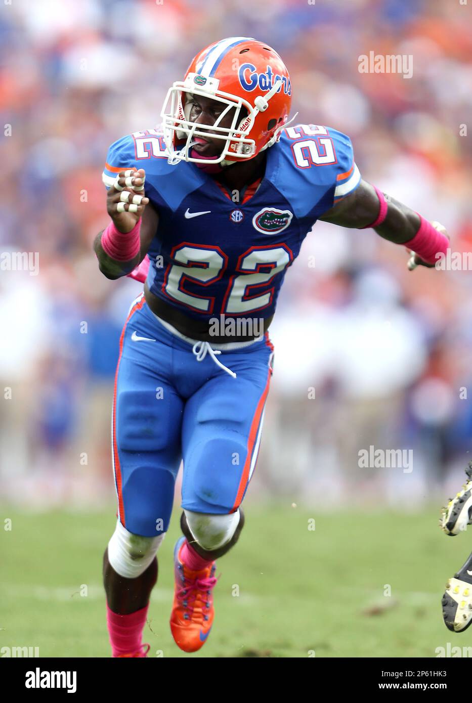 Florida Gators Matt Elam (22) during an NCAA College football game ...