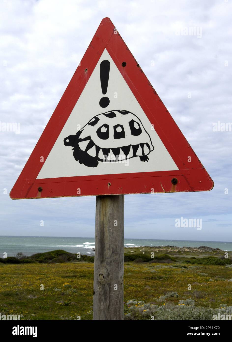 Unusual road warning sign beware of tortoise in the Western Cape, South ...