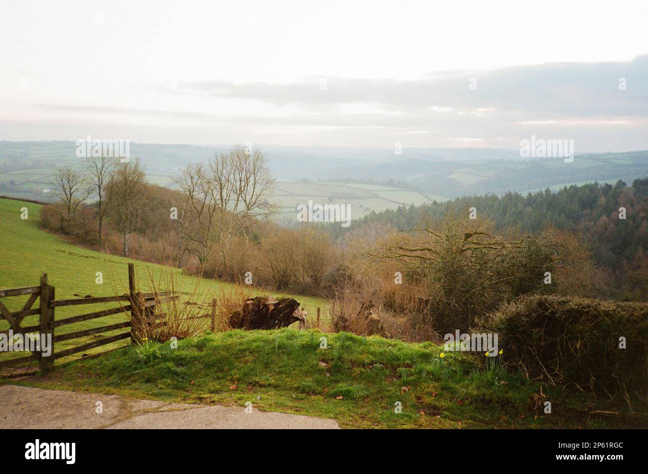High Bickington, North Devon, England, United Kingdom Stock Photo - Alamy