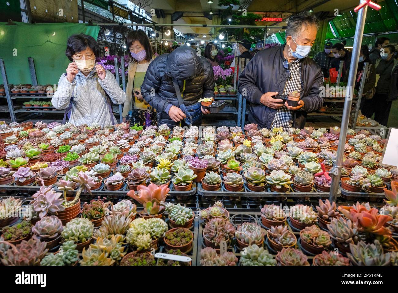 Taipei, Taiwan - February 25, 2023: People buying cactus at the Jianguo ...