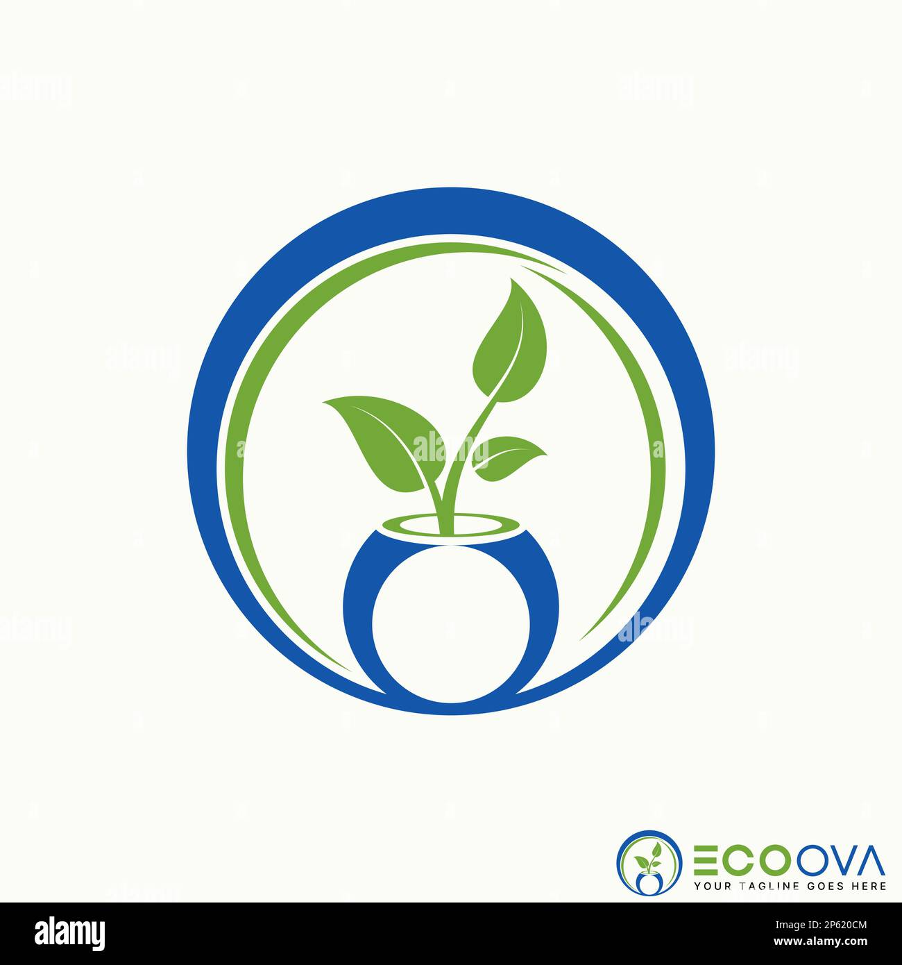 Small evergreen plant Stock Vector Images - Alamy