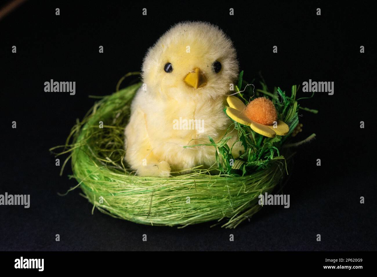 Easter chick decorations hi-res stock photography and images - Alamy