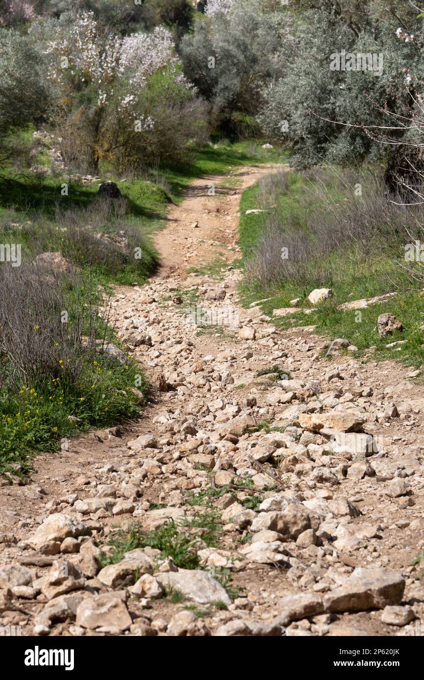 Rocky country road in the village of ein Karem a suburb of Jerusalem ...