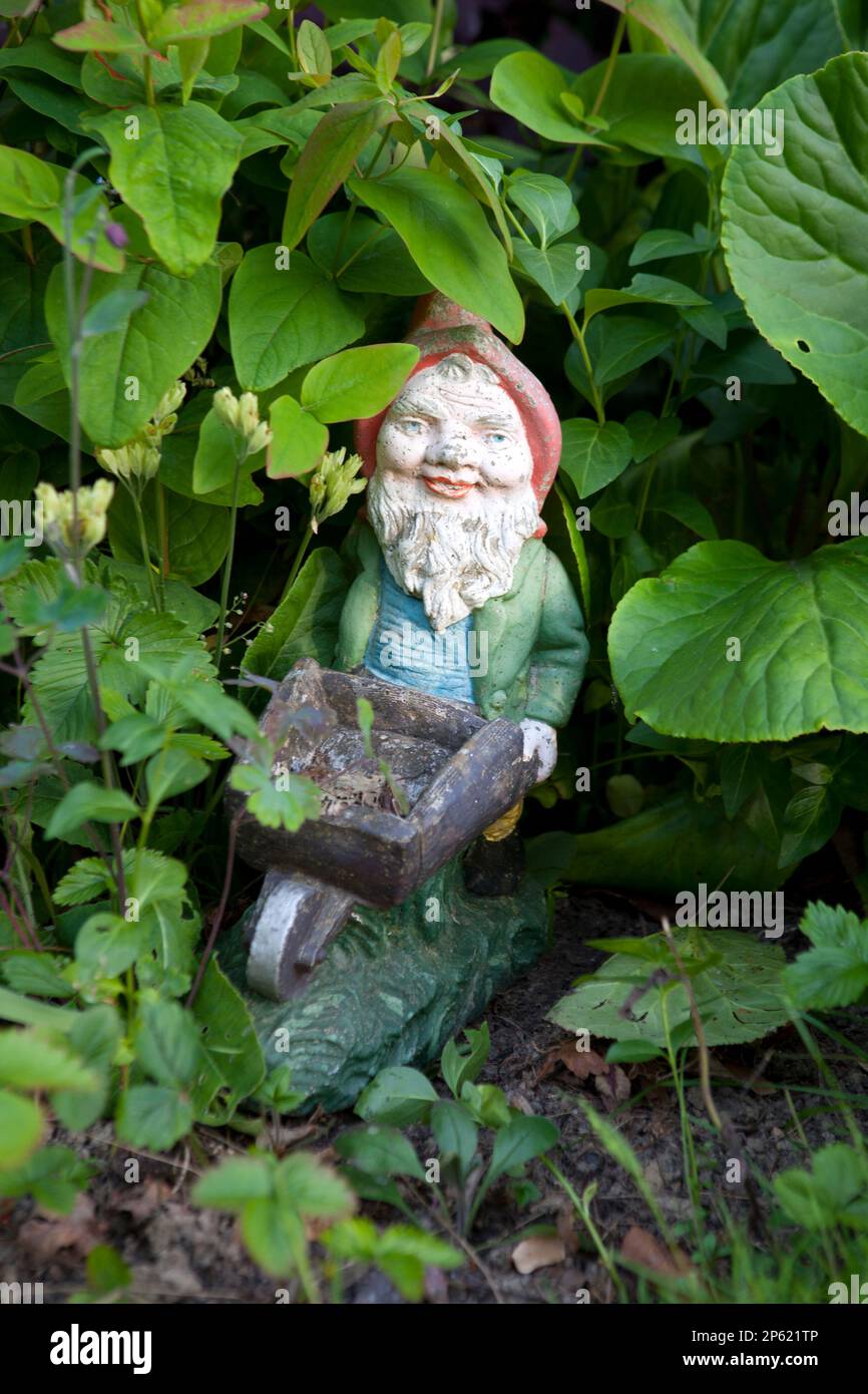 Sue Whigham garden Stock Photo - Alamy