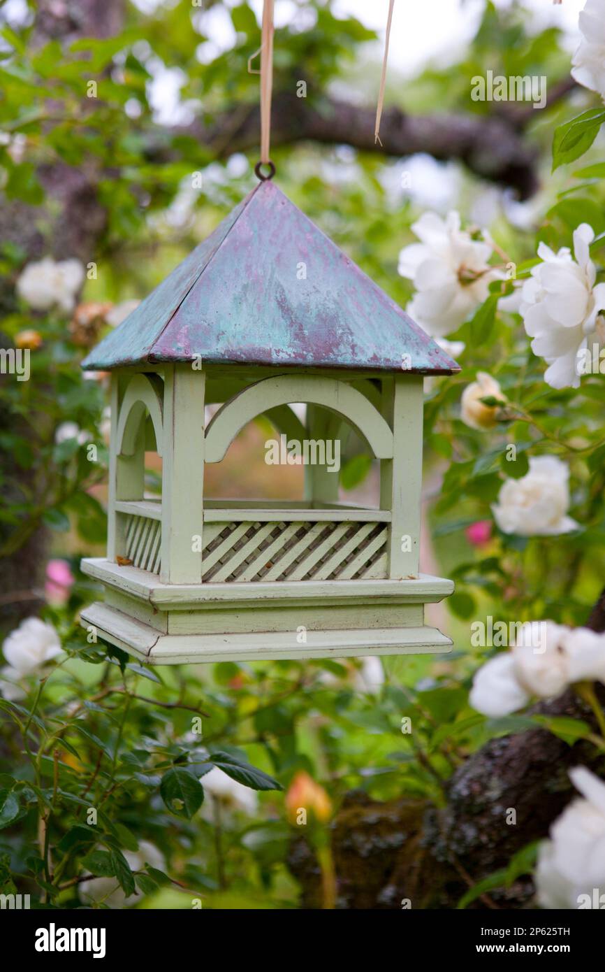 Sue Whigham garden Stock Photo - Alamy