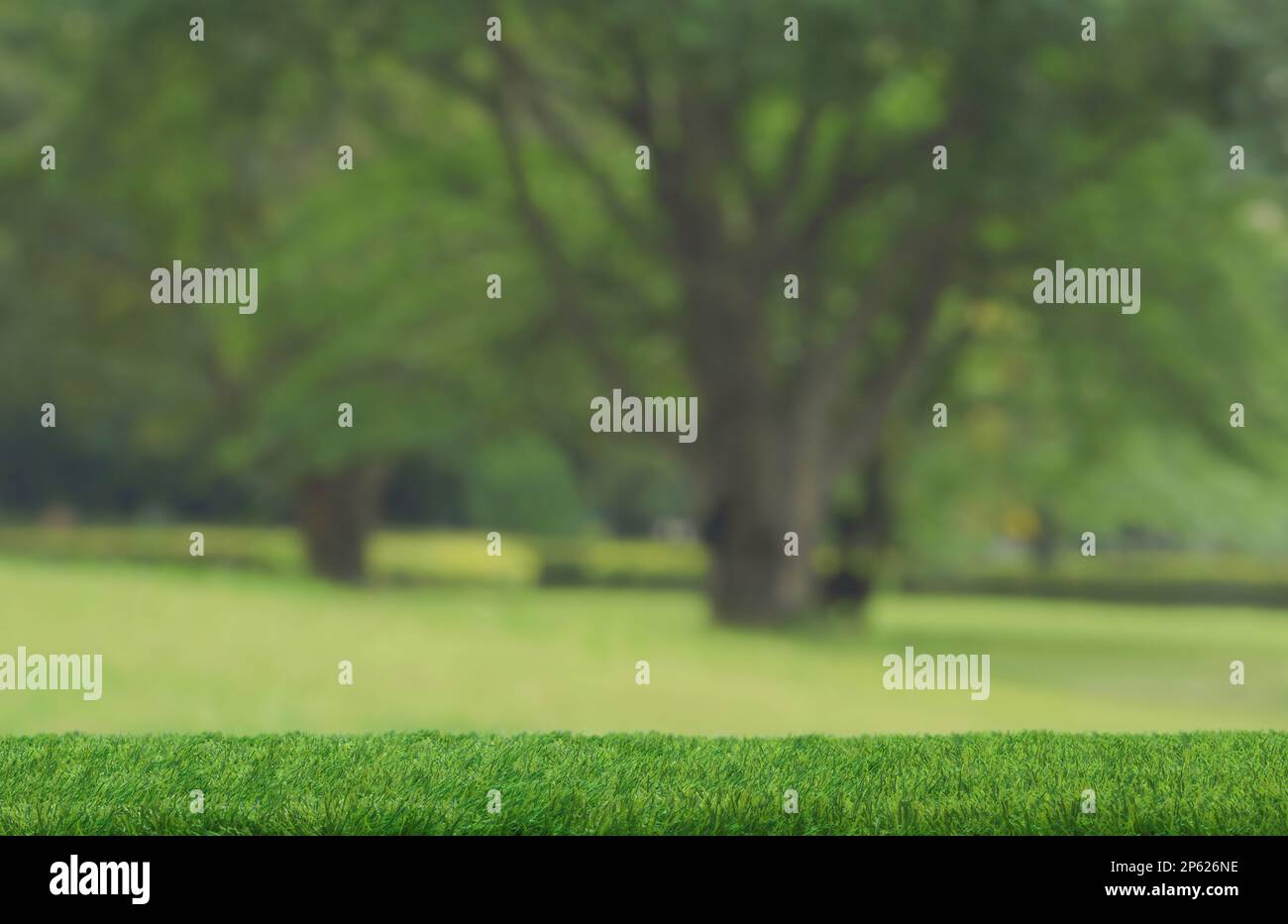 Green grass field table top podium floor blurred park outdoors tropical ...