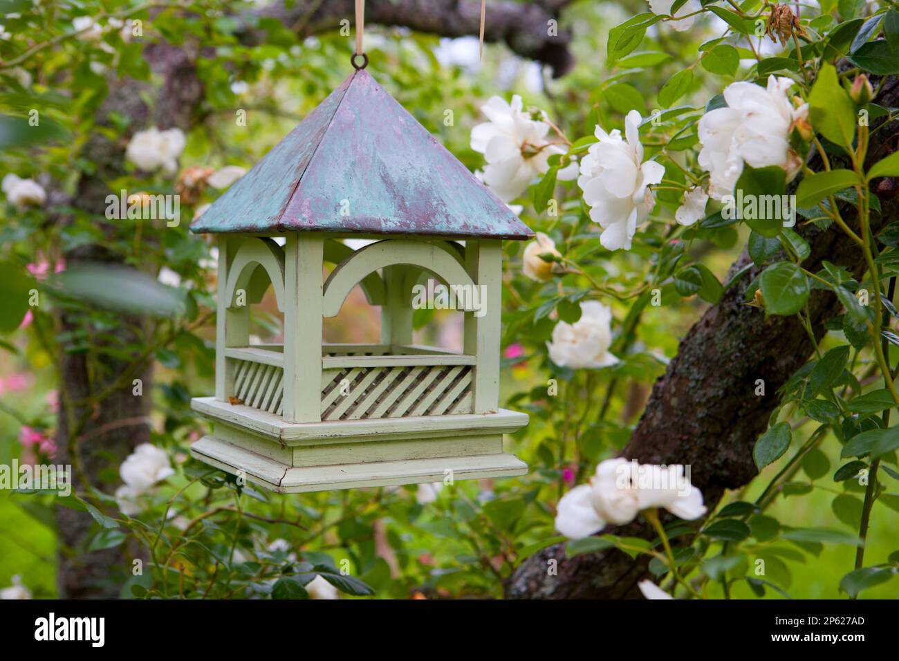 Hanging bird table hi-res stock photography and images - Alamy