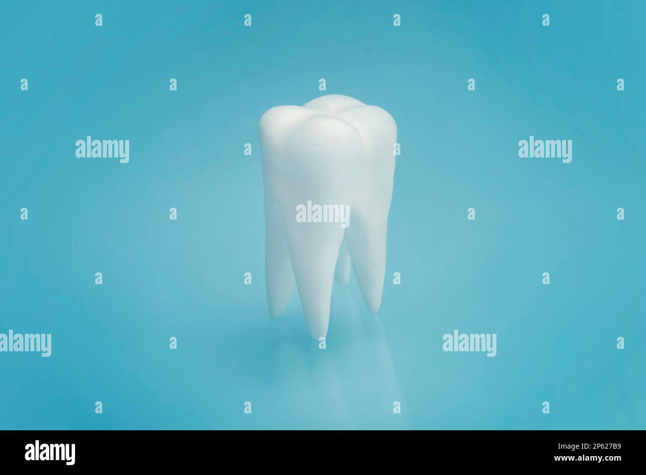clean tooth model on blue background. treatment of toothache. the ...