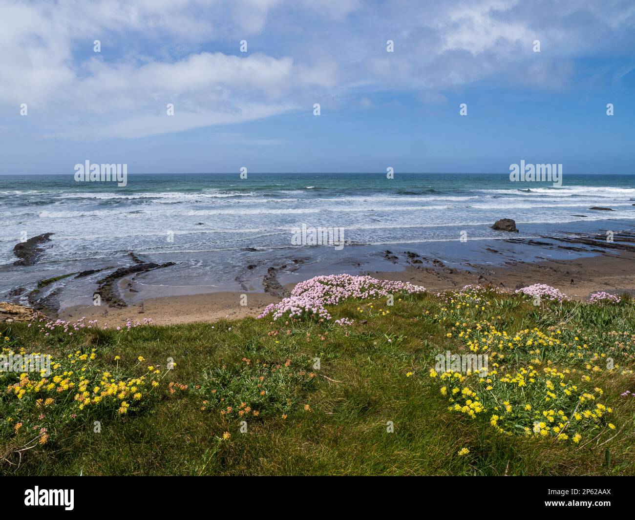 Bude seaside town in north east Cornwall, England Stock Photo - Alamy