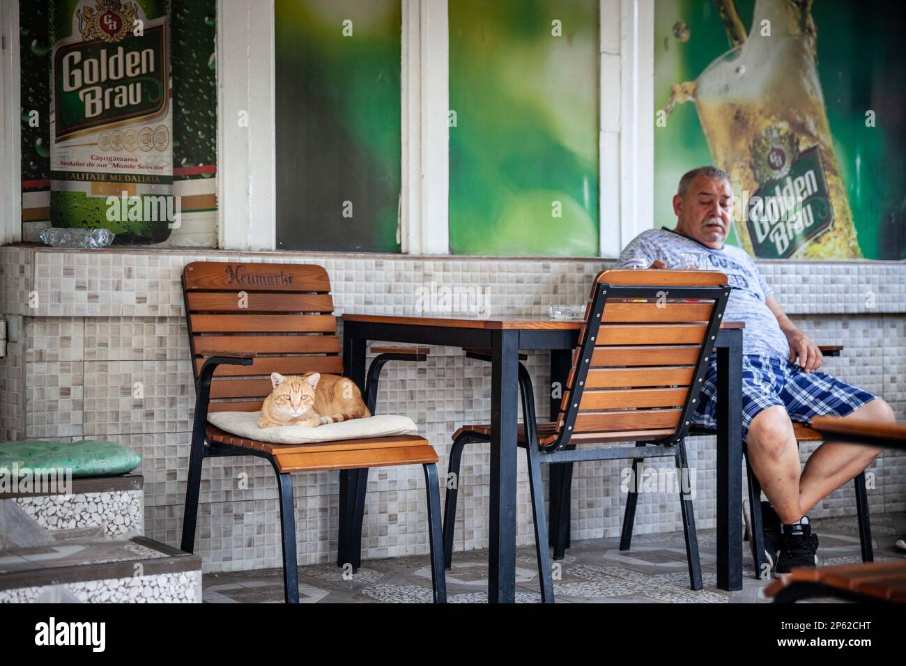 Picture of an old serbian man sitting together with a ginger stray cat ...