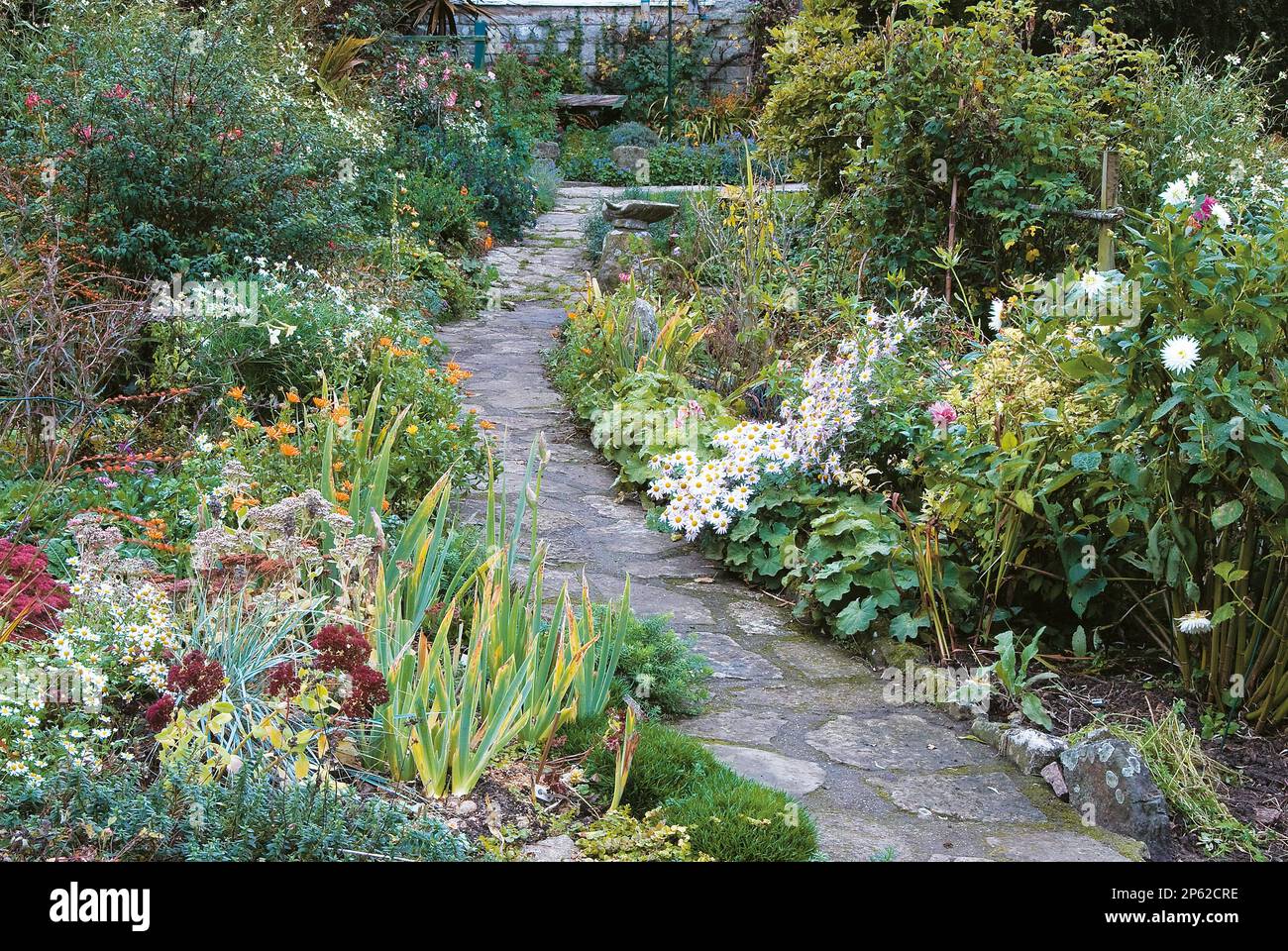 Curving stone path in cottage garden Stock Photo - Alamy