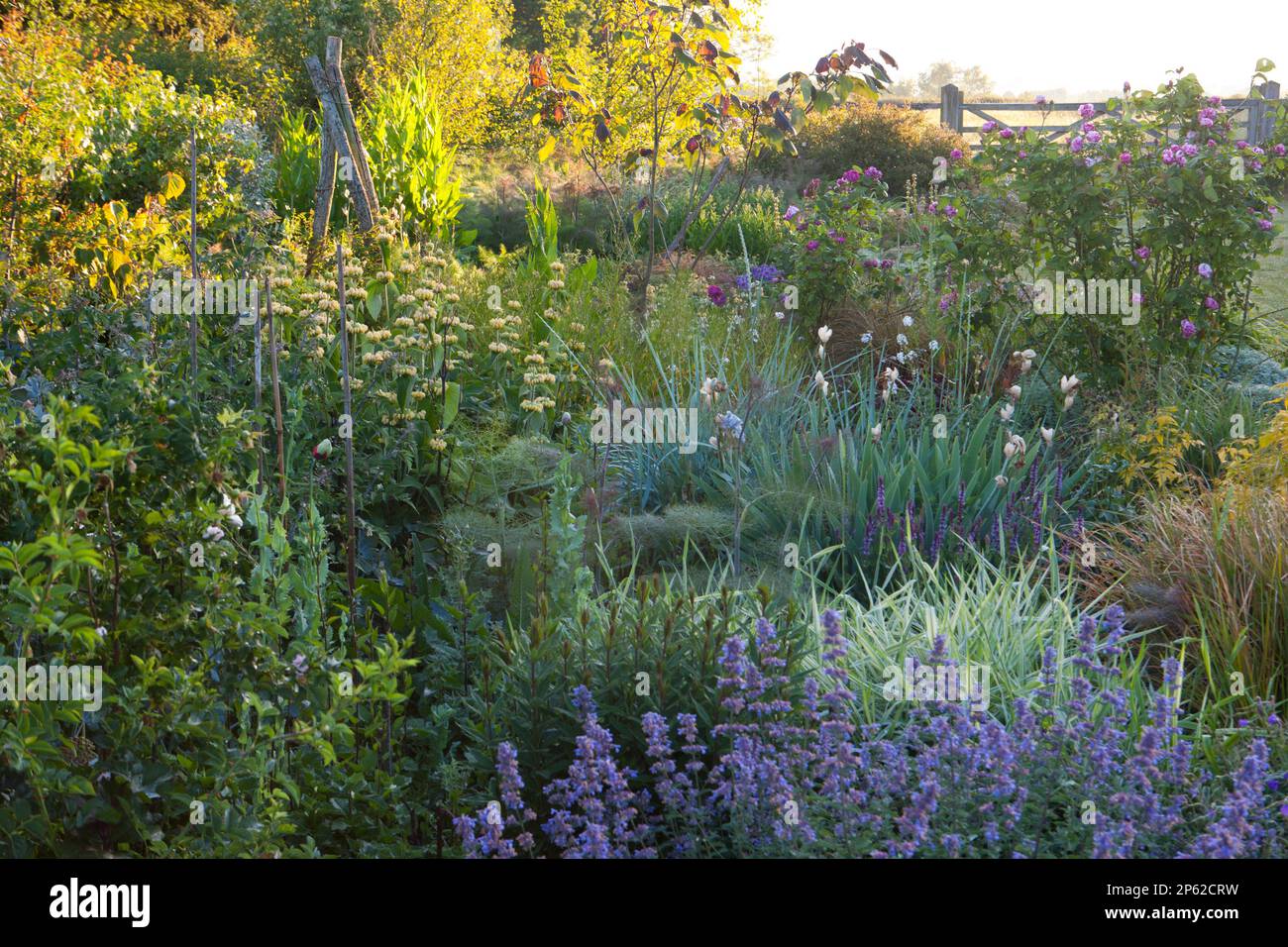 A beautifully planted cottage garden border in summer Stock Photo - Alamy