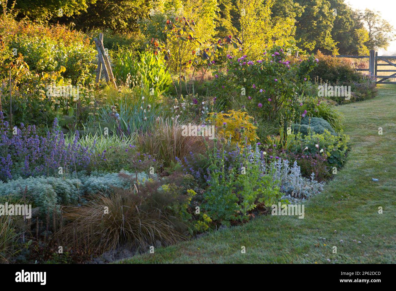 Sue Whigham garden Stock Photo - Alamy