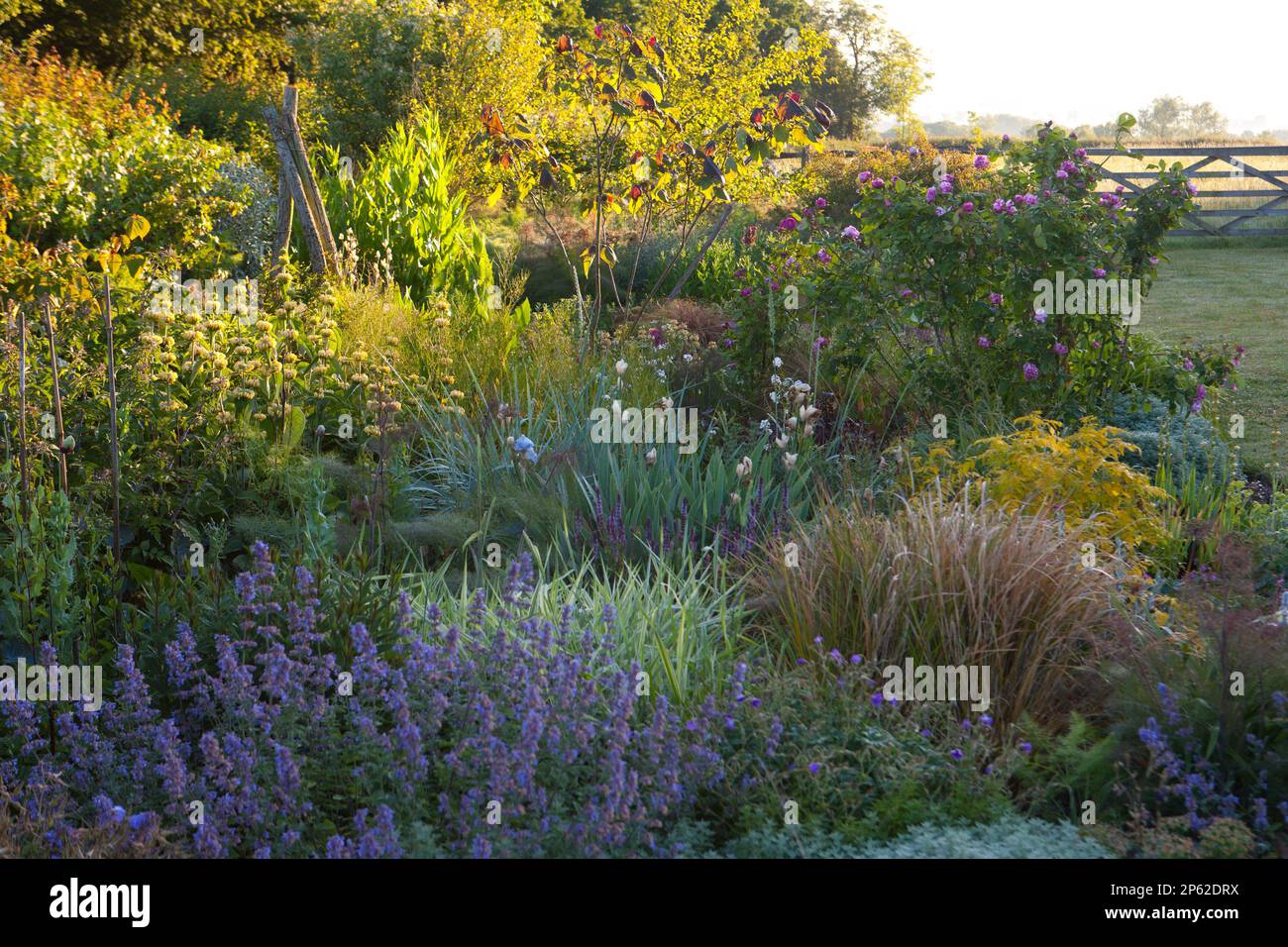 Sue Whigham garden Stock Photo - Alamy