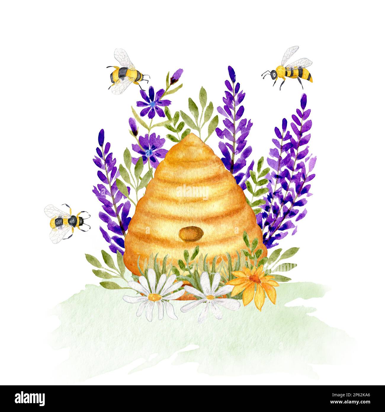 Watercolor illustration with a wild Beehive in Lavender and Chamomile ...