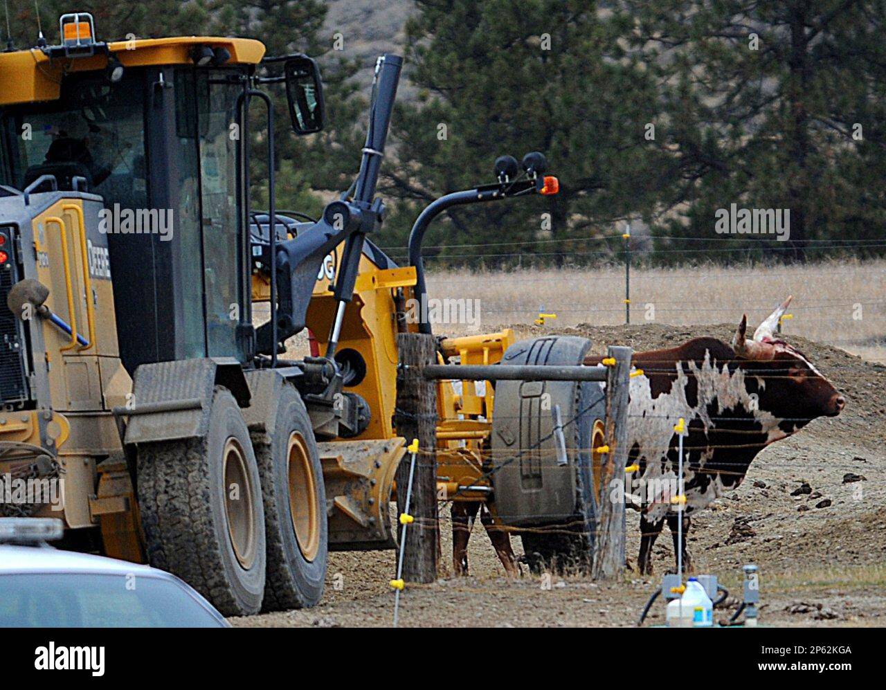A road grader is used to contain a longhorn bull as law enforcement and ...