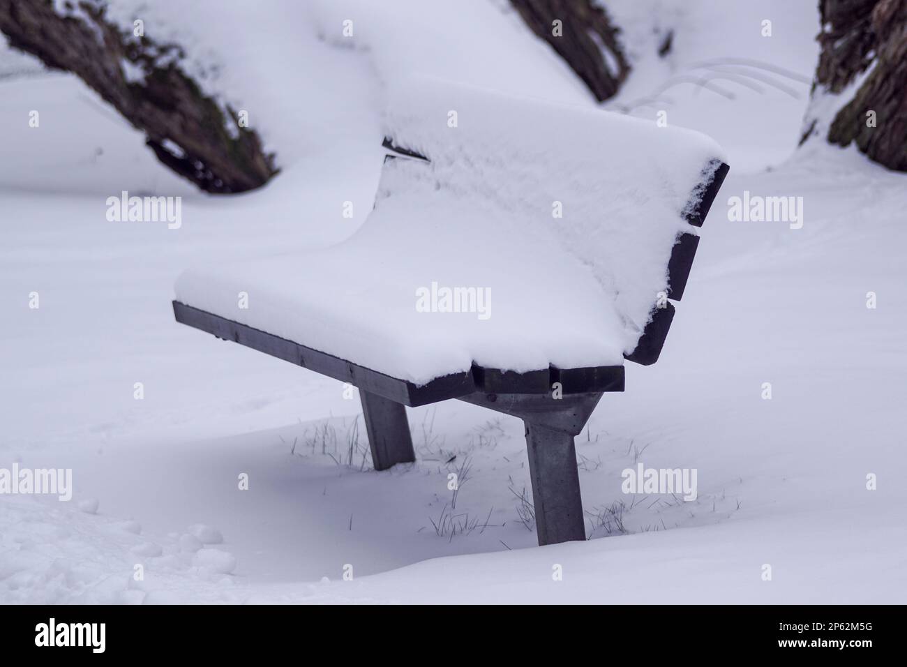 Snow covered park bench hi-res stock photography and images - Alamy