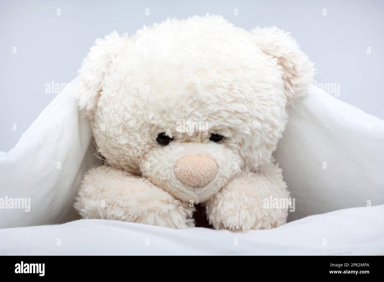 Toy Teddy Bear under the blanket on bed Stock Photo - Alamy