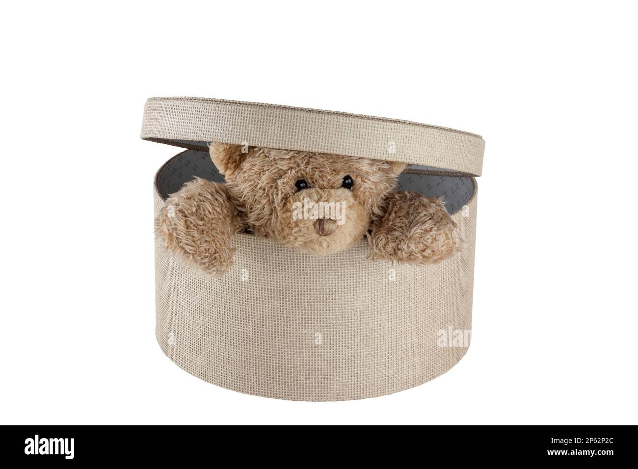 Toy Teddy Bear in box isolated white background Stock Photo - Alamy
