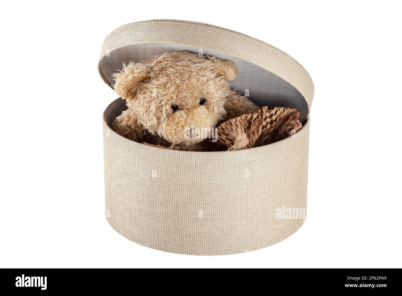 Toy Teddy Bear in box isolated white background Stock Photo - Alamy