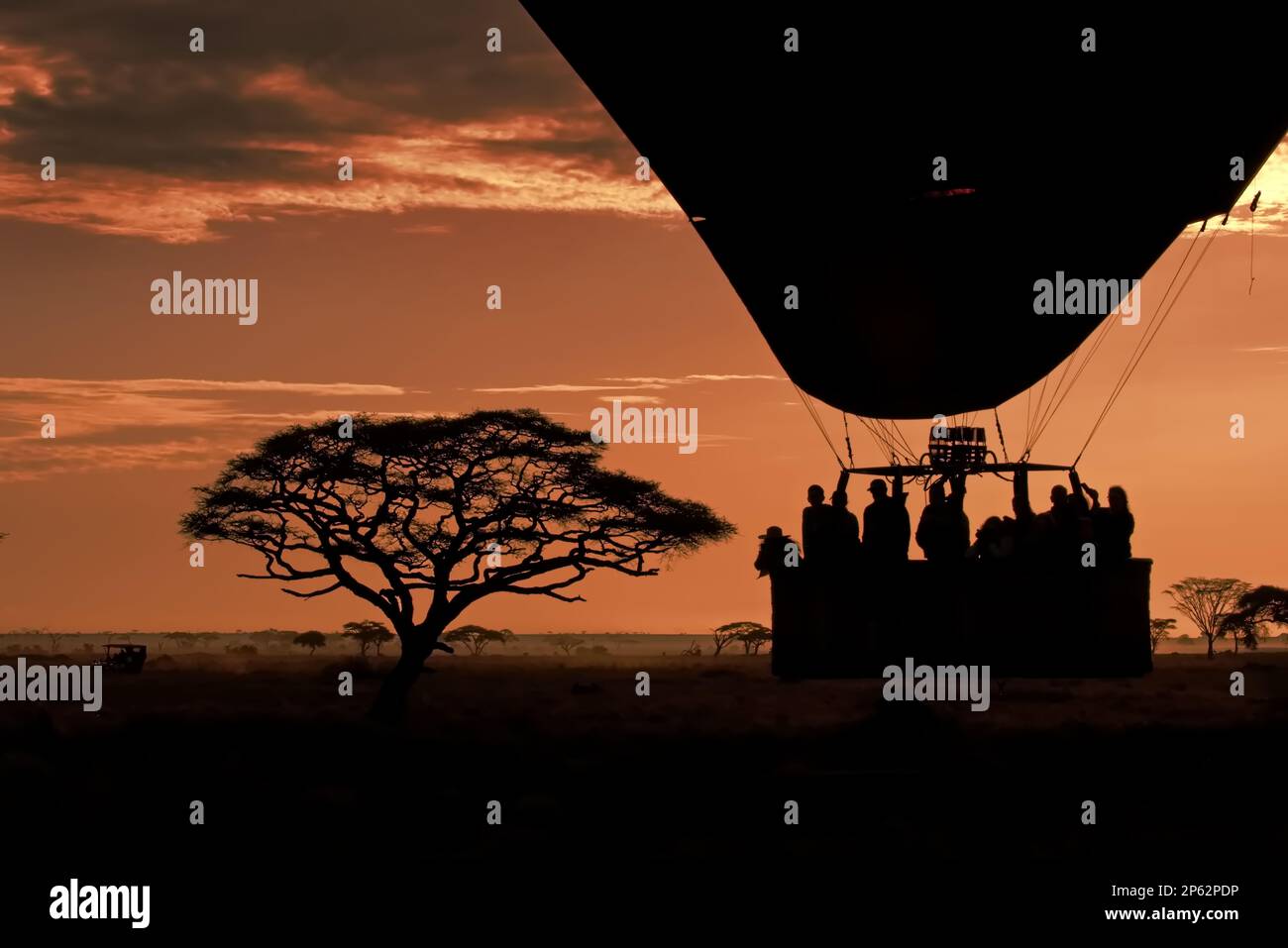 A group of people standing in a hot air balloon soaring above a lush ...