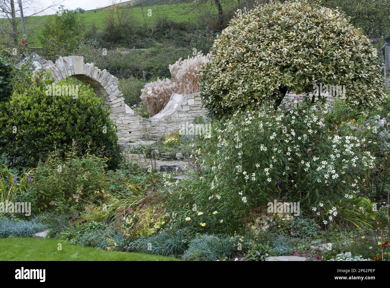 stone garden wall with arch and flowering border with bushes and shaped ...