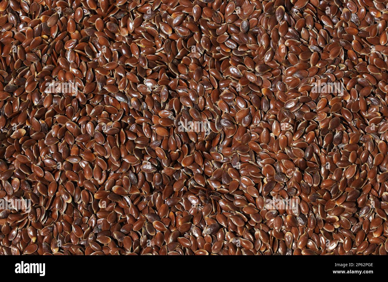 Flax seeds background. flaxseed or linseed agricultural background. Healthy food. A source of ...