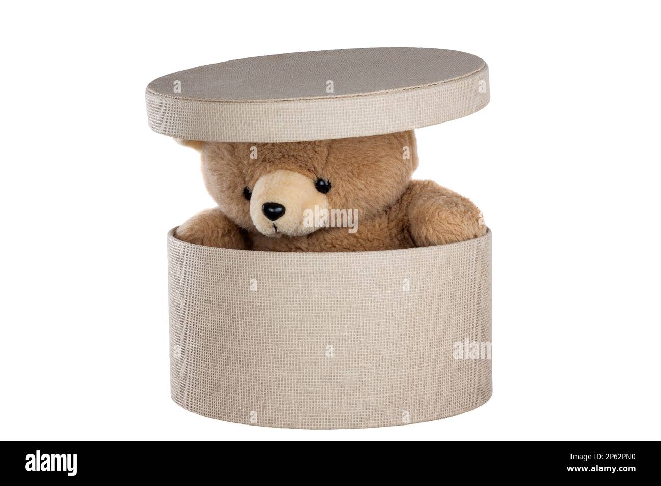 Toy Teddy Bear in box isolated white background Stock Photo - Alamy