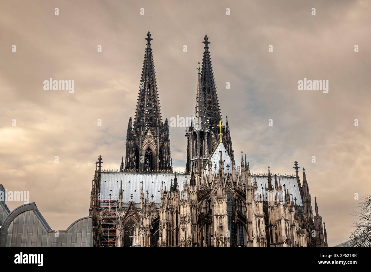 Picture of the cologne cathedral seen from below during the afternoon ...