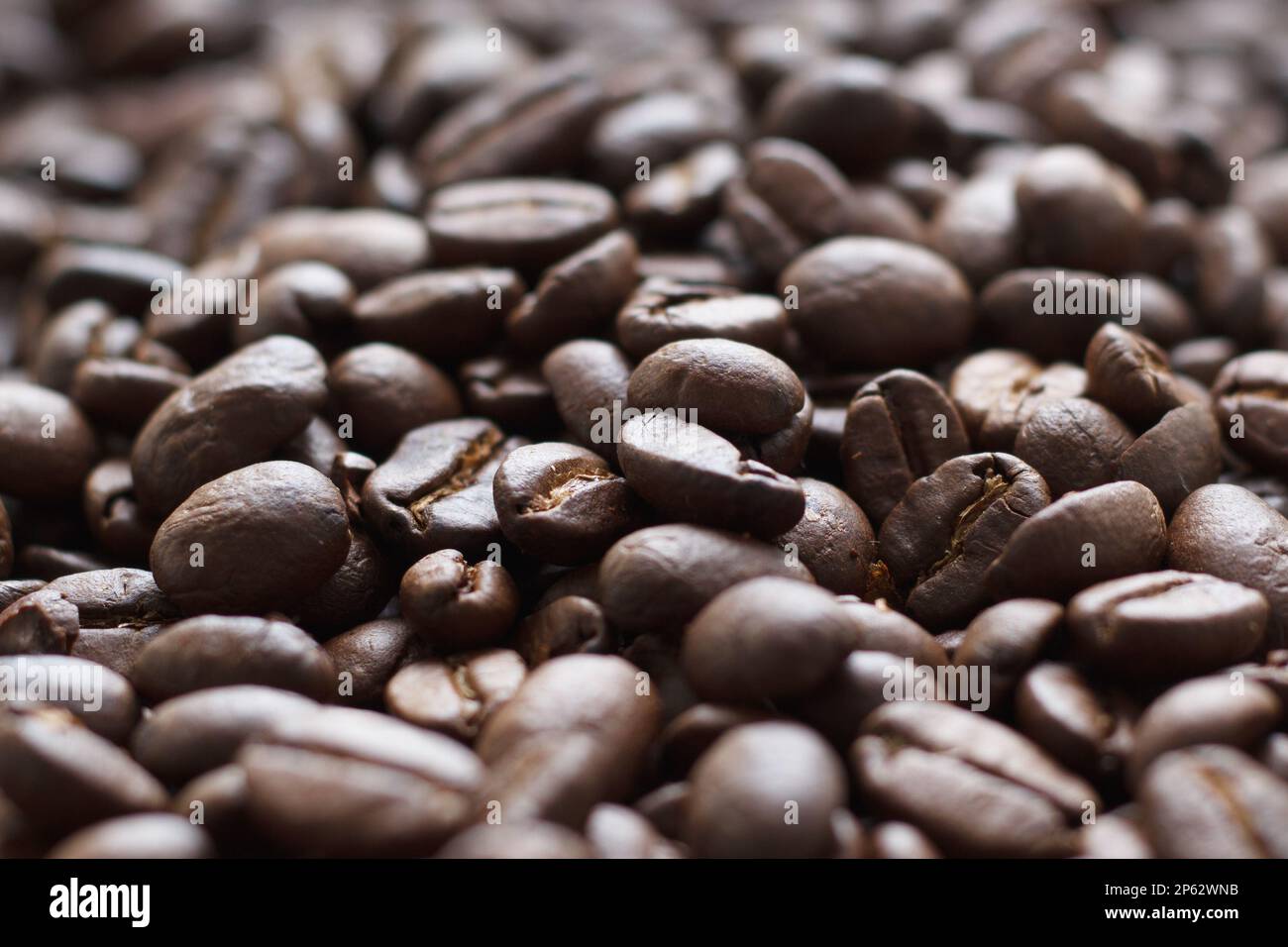 Focus to center hi-res stock photography and images - Alamy